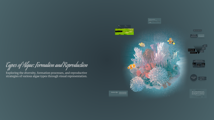 Types of Algae: Formation and Reproduction by suela berisha on Prezi