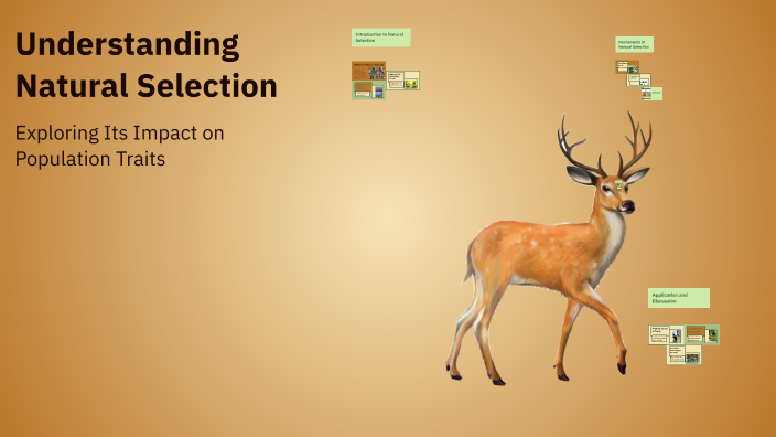 Understanding Natural Selection by Norelyn Data on Prezi