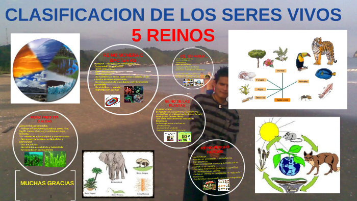 CLASIFICACION DE LOS SERES VIVOS 5 REINOS by nicolas roberto toscano ...