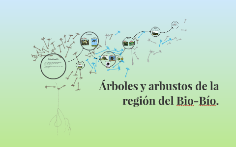 Árboles y arbustos de la región del Bio-Bío. by Viviana Torres on Prezi