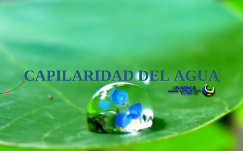 CAPILARIDAD DEL AGUA by Juan Pablo on Prezi