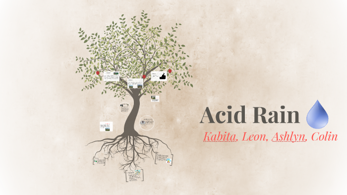 Acid Rain by Colin Scanlon on Prezi