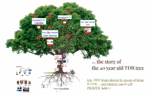 story of a 40 year old tree by mauricio fuentes on Prezi