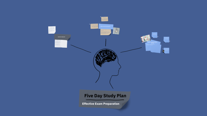 Five Day Study Plan by carly McEvoy on Prezi