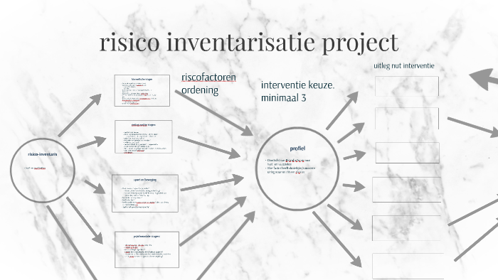 risico inventarisatie project by Stefan Laurens on Prezi