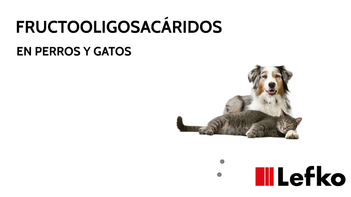 Fructooligosacáridos by Pablo Roberto Ramírez Tovar on Prezi