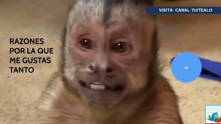 leo2 by Santiago Trejo Edna on Prezi