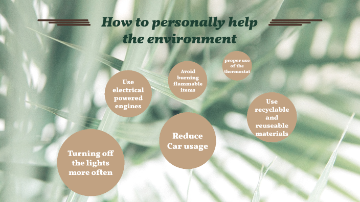 How can I help the environment? by Dominic Cardillo on Prezi