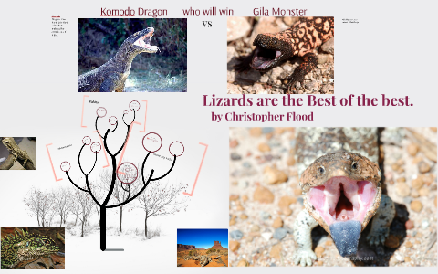 Lizards by Mr. LeGros' 5th Grade Class Prezis on Prezi
