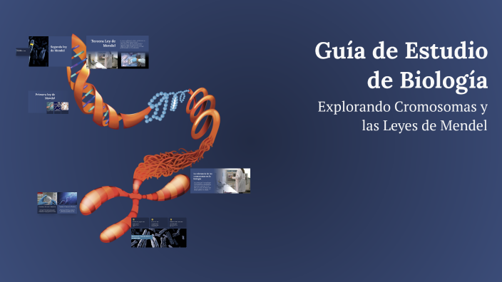 Guía de Estudio de Biología by Amy Cadena on Prezi