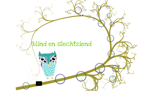 blind en slechtziend by sascha huizinga on Prezi