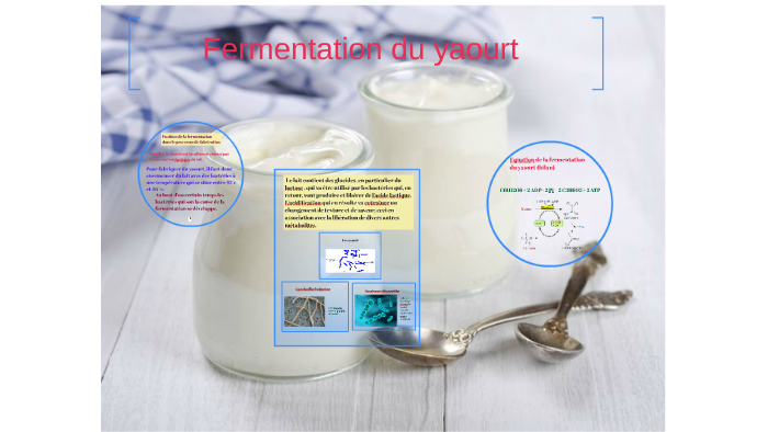 Fermentation du yaourt by Rym Bouhriba on Prezi