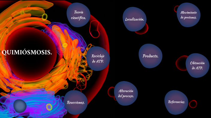 Quimiósmosis by Evelyn González López on Prezi