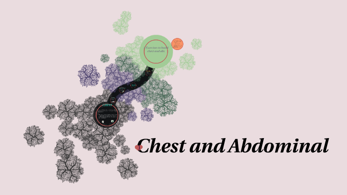 chest and abdomen muscles by Daija Simpson on Prezi