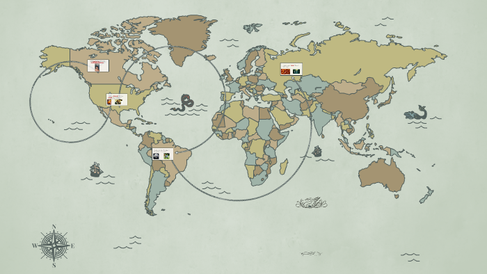 Mi Presetacion Personal by Matthew Parkerson on Prezi