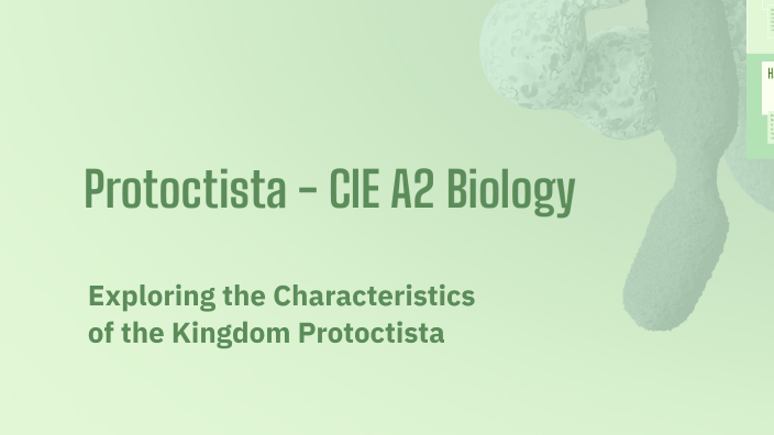 Protoctista - CIE A2 Biology by Milo :D on Prezi