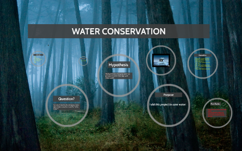 Collin's Science Fair Water Conservation by Collin Landreth on Prezi