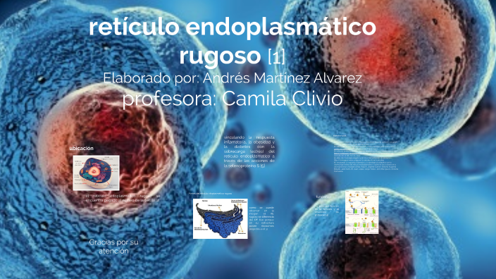 retículo endoplasmático rugoso by Miller Andres Matinez Alvarez on Prezi