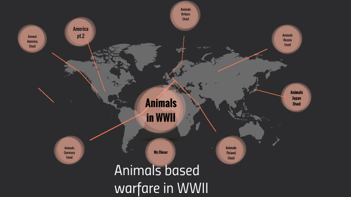 Animal based warfare in WWII by joao Dasilva on Prezi