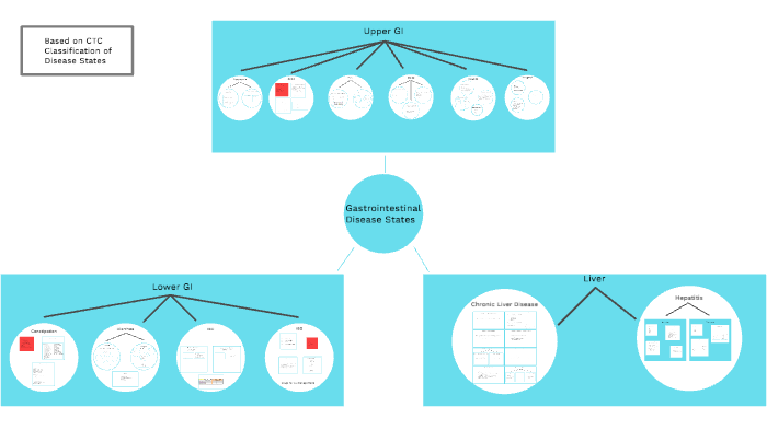 Gastrointestinal Mind Map by Lauren Zwicker on Prezi