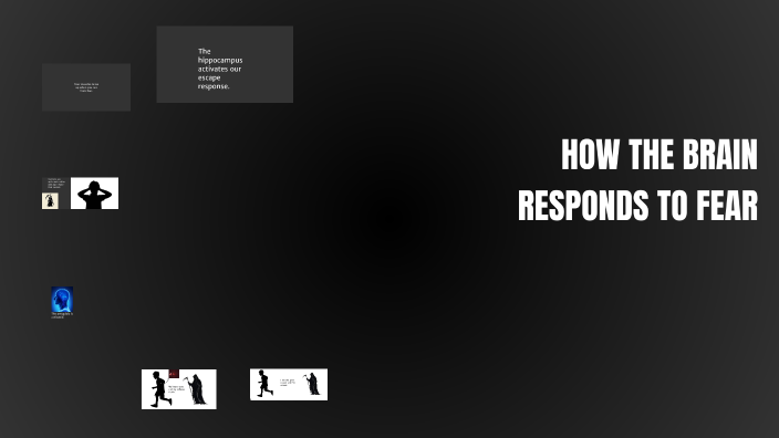 HOW THE BRAIN RESPONDS TO FEAR by Andres pureco on Prezi
