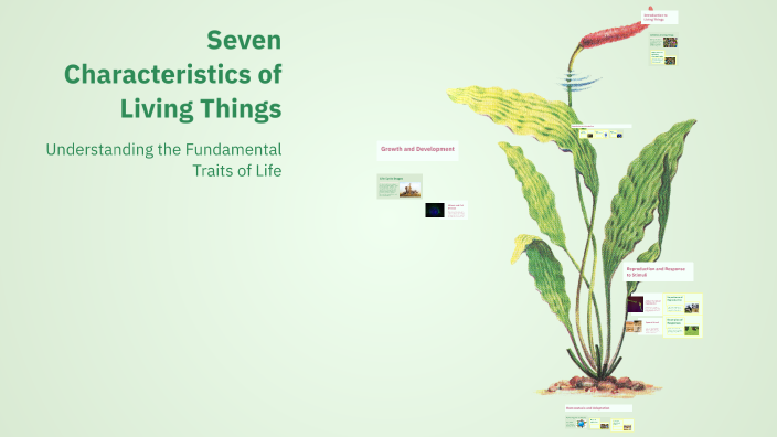 Seven Characteristics of Living Things by Kassandra Morgan on Prezi