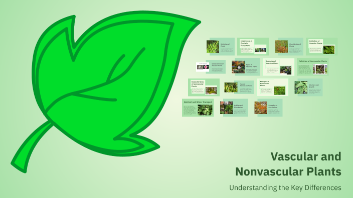 Vascular and Nonvascular plants by Bridgett Preston on Prezi