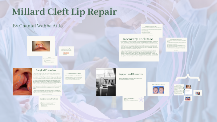 Millard Cleft Lip Repair by chantal wahba on Prezi