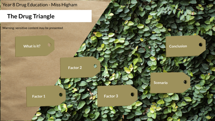 The drug triangle by Brooke Higham on Prezi