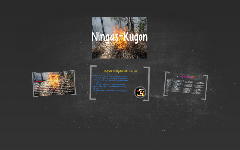 Ningas-Kugon by Jeryel Jones Grueso on Prezi