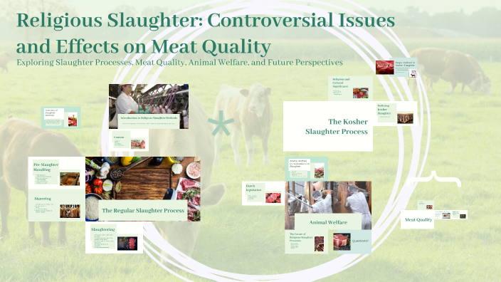 Understanding Meat Processing: Regular vs Kosher Slaughter by Antje ...