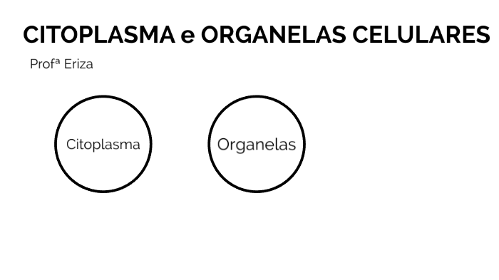 citoplasma e organelas - resumo by Eriza Hahn on Prezi