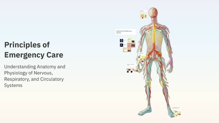 Principles of Emergency Care by JOSIE MARTINEZ on Prezi