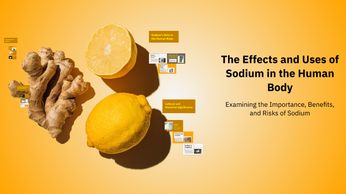 The Effects and Uses of Sodium in the Human Body by Mikeiren Vallery on ...