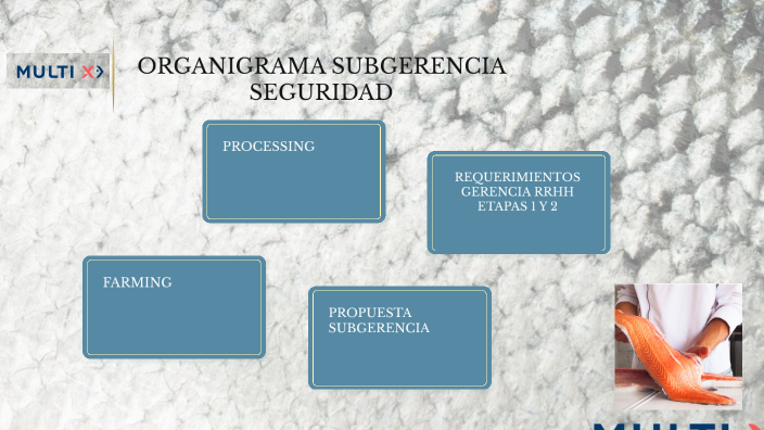 ORGANIGRAMA SUBGERENCIA SEGURIDAD by luis riveros on Prezi
