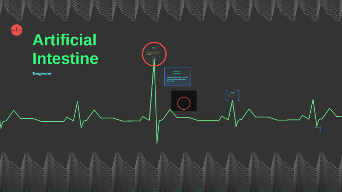 Artificial Intestine by Caroline Mitton on Prezi