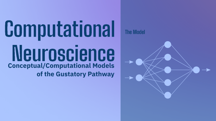 Conceptual/Computational Models of the Gustatory Pathway by alejandra ...