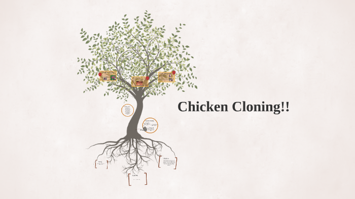 Chicken Cloning!! by Tamaijia Spence on Prezi