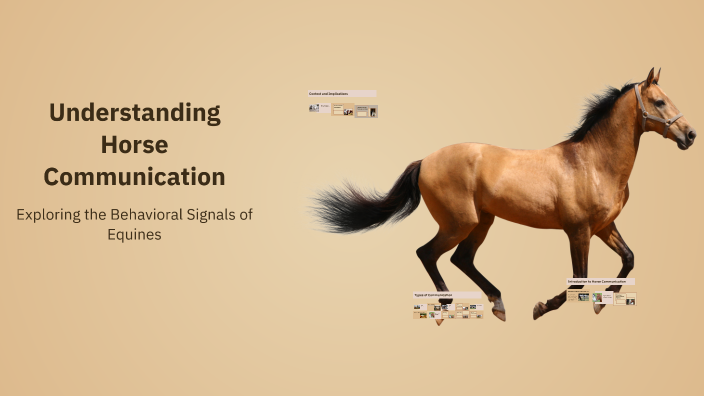 Understanding Horse Communication by Blue Star on Prezi