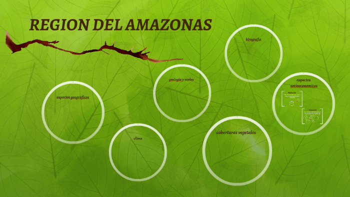 REGION DEL AMAZONAS by alejandra venegas on Prezi