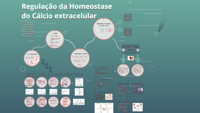 Regulação da homeostase do cálcio extracelular by Vitória Scrich on Prezi