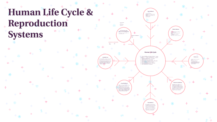 Human Life Cycle & Reproduction Systems by Linda Jeffers on Prezi