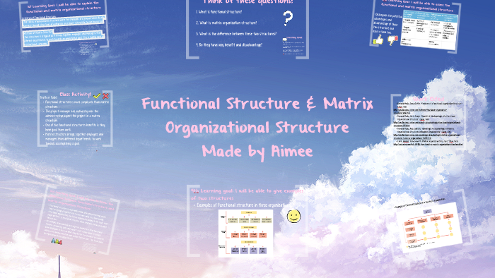 Functional Structure & Matrix Organizational Structure by Tianlu Bao on ...