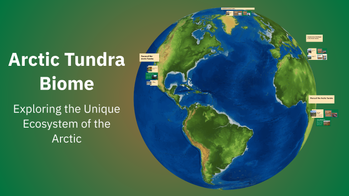 Arctic Tundra Biome by Alex Kudo on Prezi