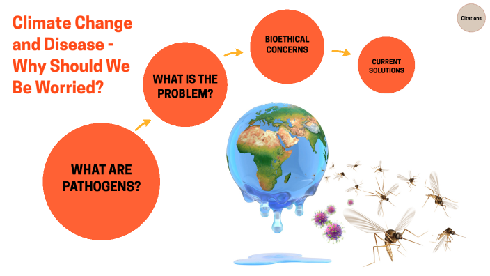 Maya Spence - Passion Project by Maya Spence on Prezi