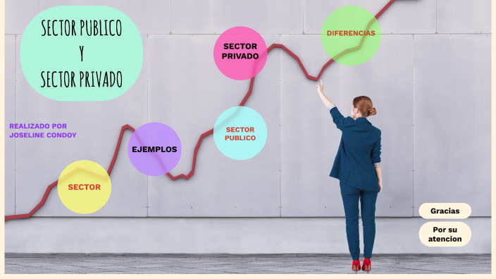 ANÁLISIS DE LOS SECTORES PÚBLICO Y PRIVADO by josseline Condoy on Prezi
