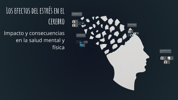 Los efectos del estrés en el cerebro by Mikel O Q a002554 on Prezi