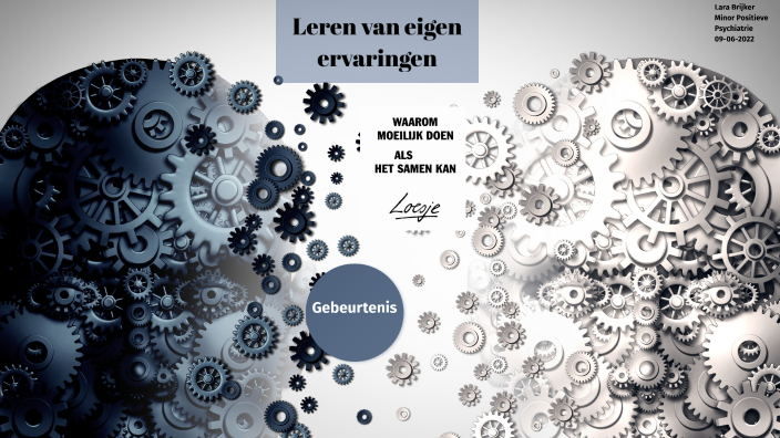 leren van eigen ervaring by Lara Brijker on Prezi