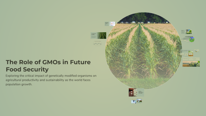 The Role of GMOs in Future Food Security by Reagan Rippy on Prezi