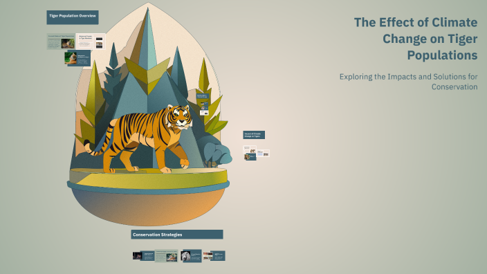 The Effect of Climate Change on Tiger Populations by julija on Prezi